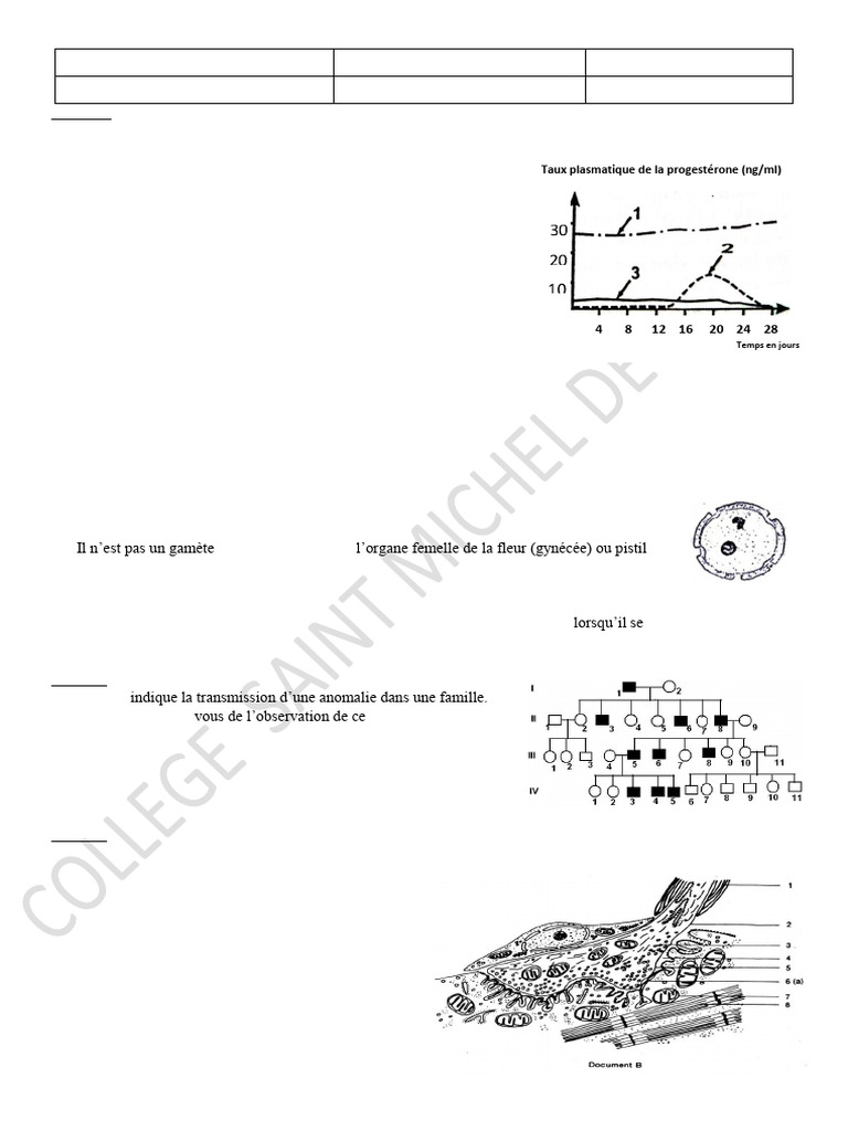 Bac II Blanc SVT 2022-2023 - Collège Saint Michel | PDF | Synapse