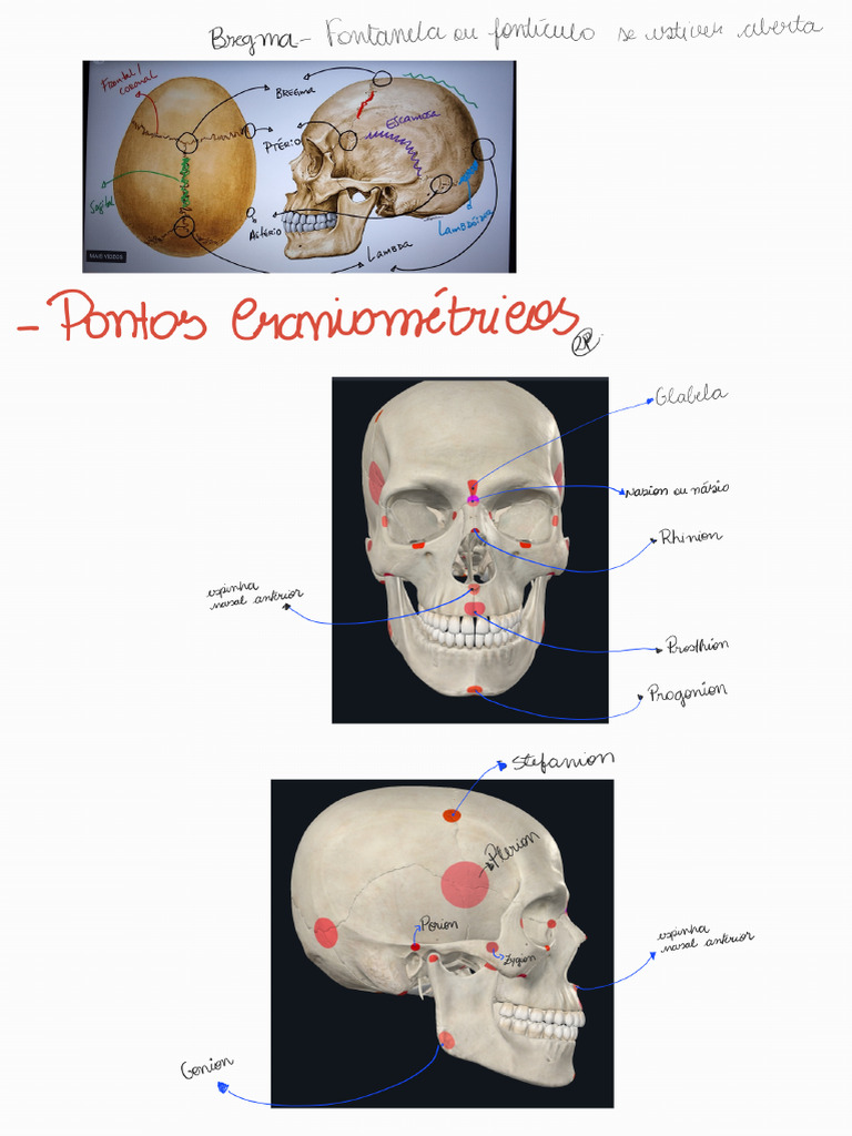 Forames 250306 214640 | PDF