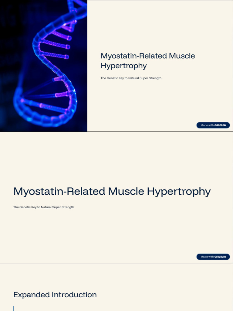 Myostatin Related Muscle Hypertrophy | PDF | Genetics | Diseases And ...