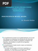Fisiopatologia de La Insuficiencia Renal Aguda y Cronica | PDF | Riñón | Hipertensión