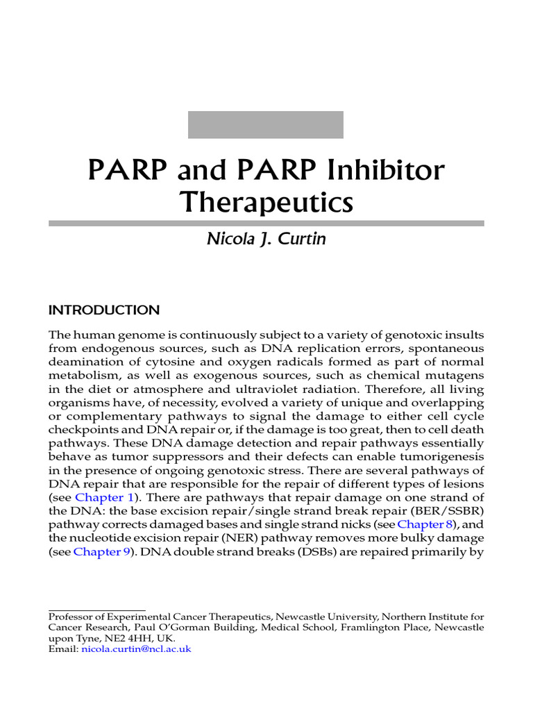 Cap 15 PARP and PARP Inhibitor Therapeutics | PDF | Dna Repair | Dna
