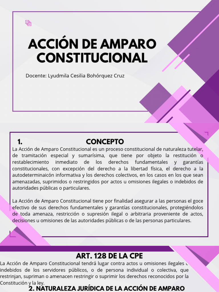 Acción de Amparo Constitucional | PDF | Derecho Constitucional | Ley procesal