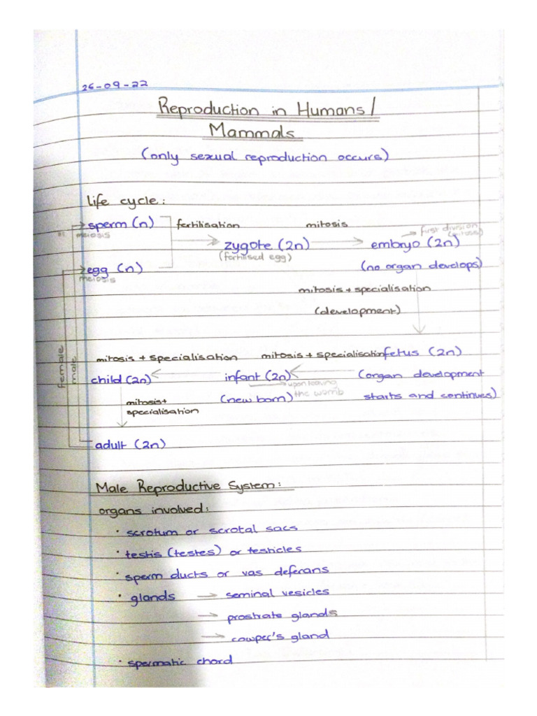 Reproduction in Mammals (Till Functions of Placenta) | PDF