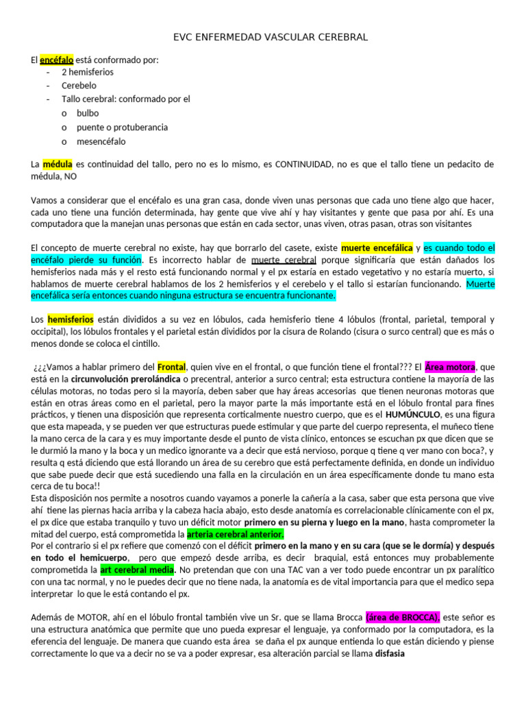 Evc Enfermedad Vascular Cerebral | PDF | Cerebro | Isquemia