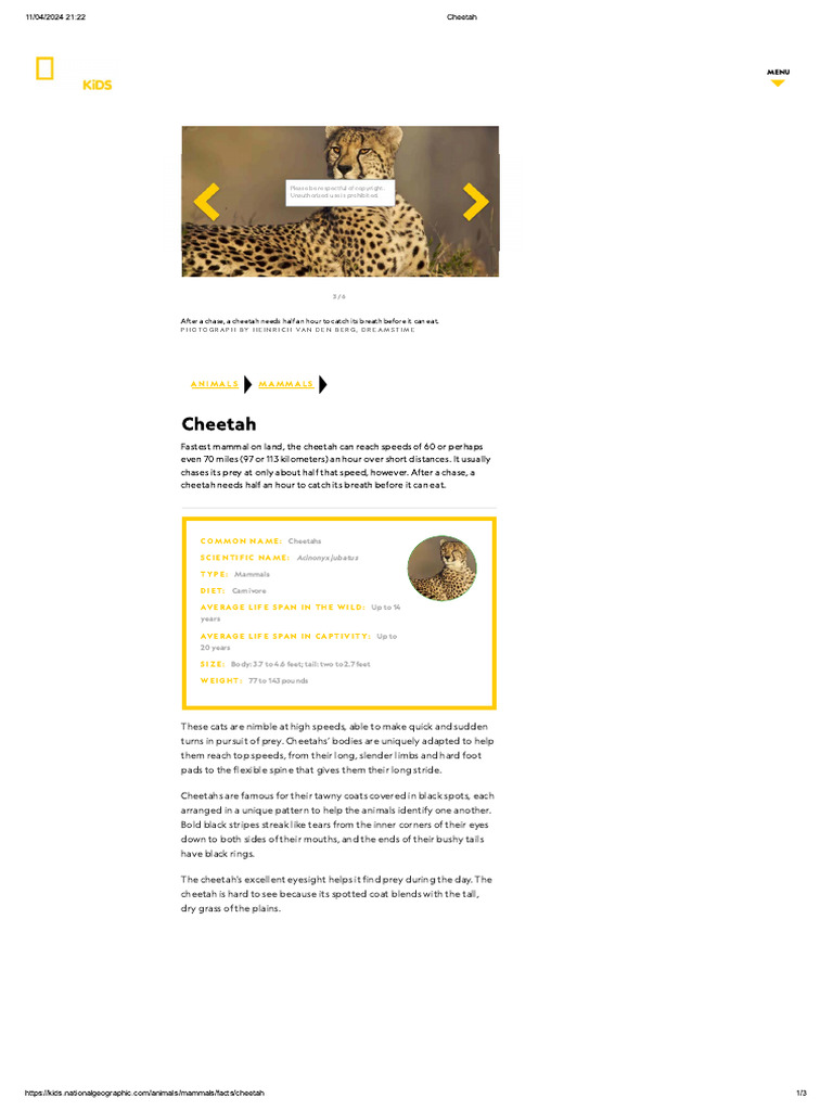 Cheetah | PDF