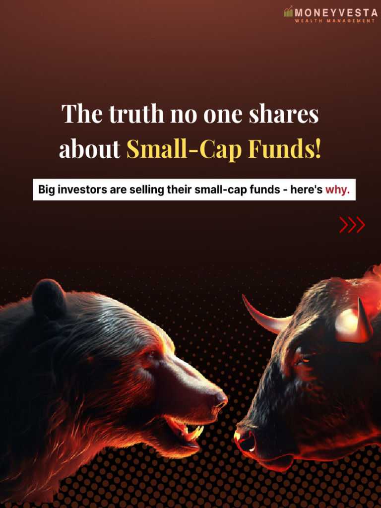 Future of Small-Cap Funds | PDF