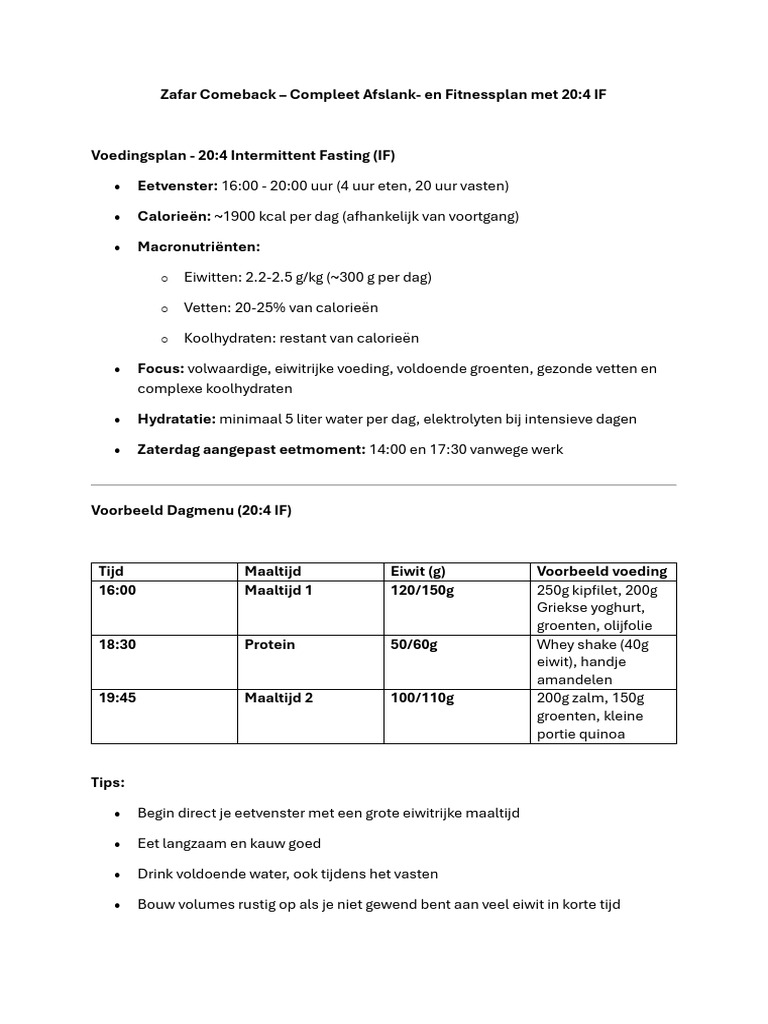 Zafar Comeback | PDF