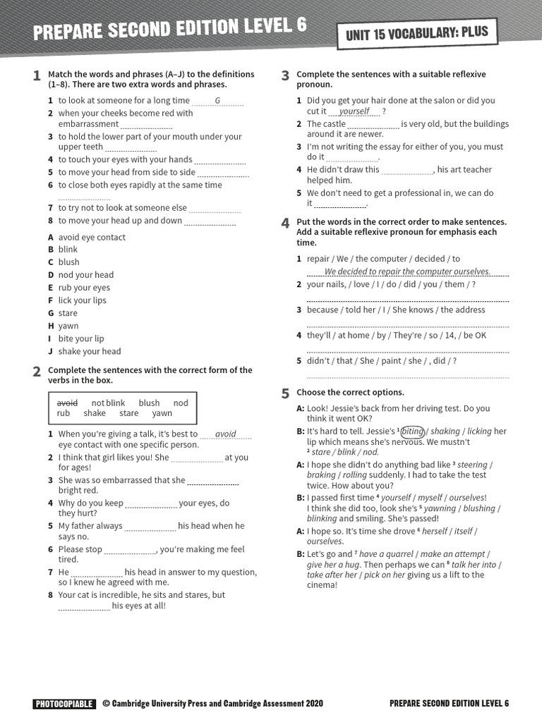 PREPARE 6 Vocabulary Plus Unit 15 | PDF | Linguistic Typology ...
