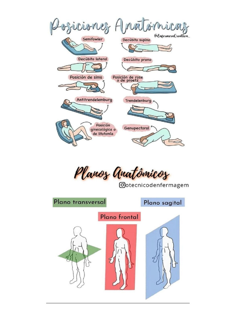 Posiciones Anatómicas | PDF