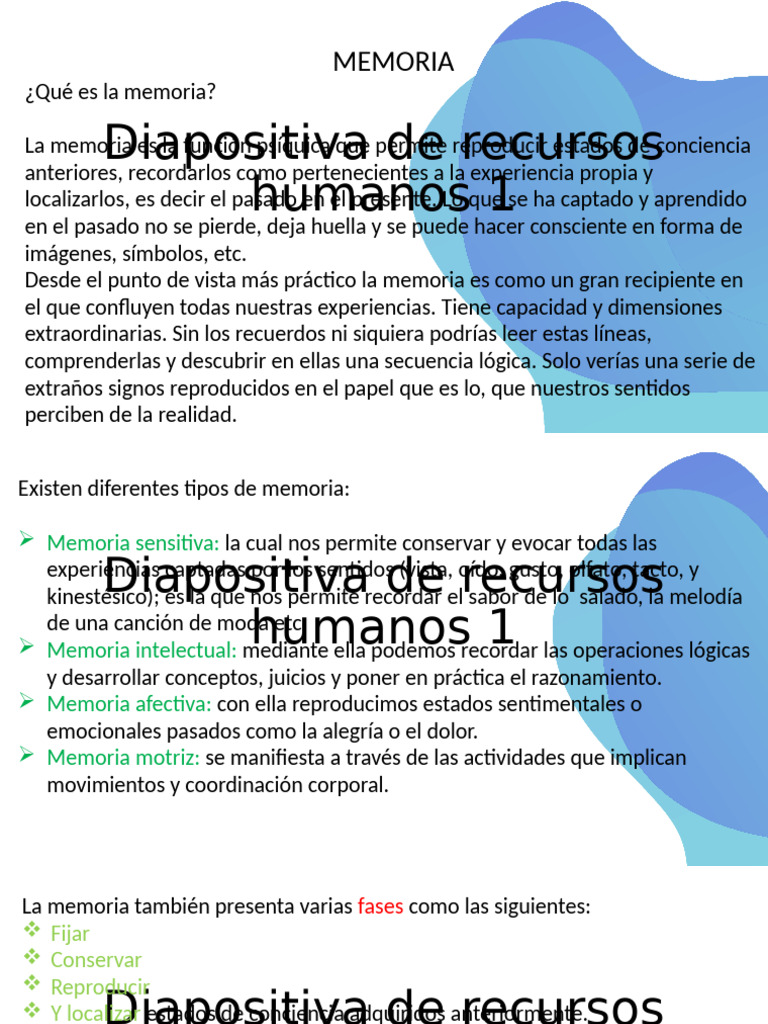 Tipos y Fases de la Memoria | PDF | Memoria | Experiencia