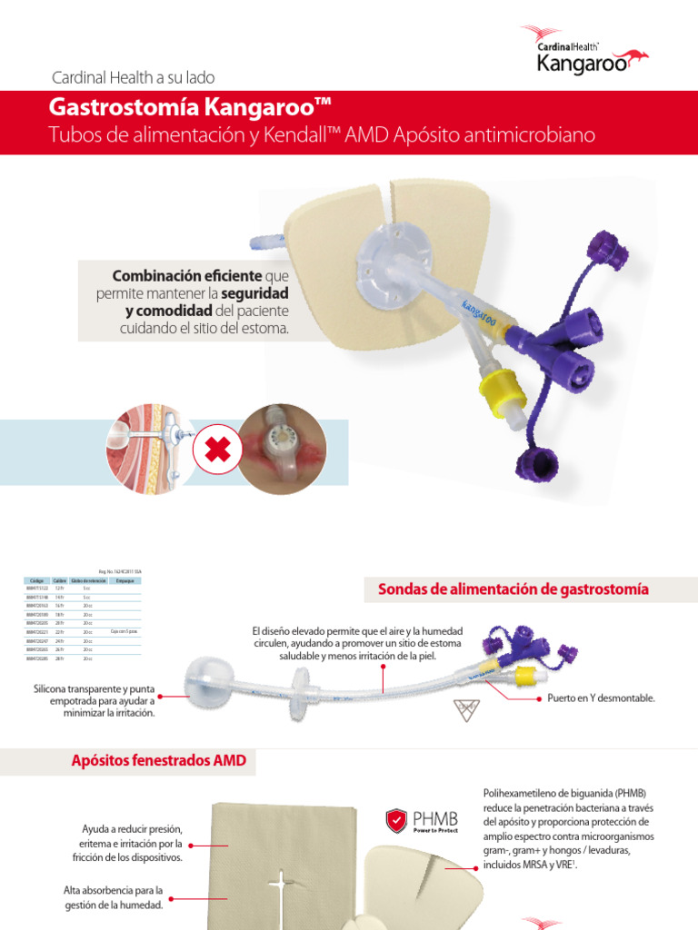 Flyer Kangaroo ESTOMAS | PDF | Microbiología | Biología