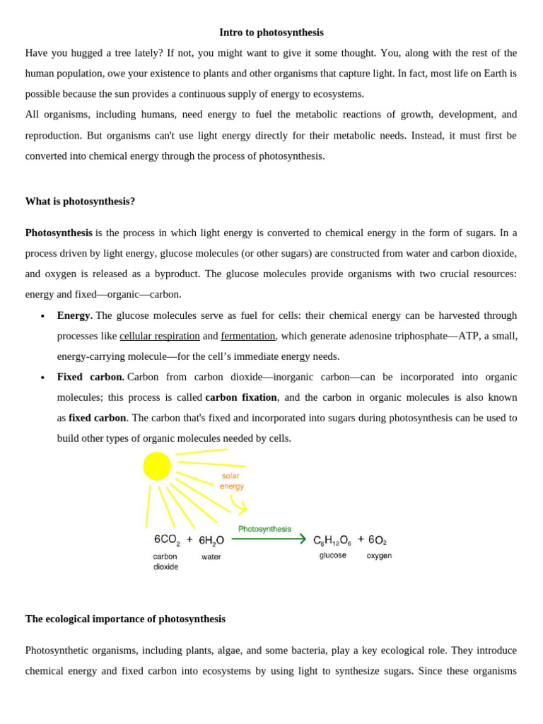 Intro To Photosynthesis | PDF | Photosynthesis | Cellular Respiration