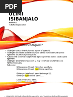 Inganekwane UNogwaja Nompungushe | PDF