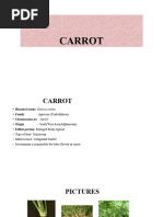 Carrots | PDF | Carrot | Agriculture