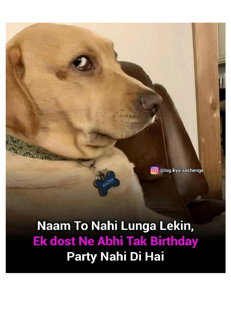 PDFGallery_20250821_065629 | PDF