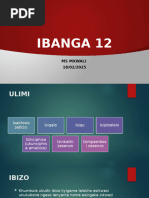 Amabizo Summary Applied African Language Zulu | PDF