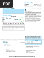 Duke Energy Bill Overview and Payment Guide | PDF