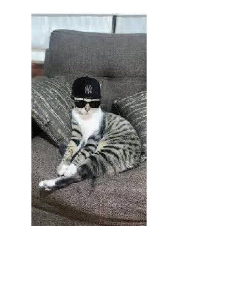 Michi Fachongo | PDF