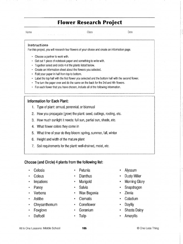 Bernal-Elorza, Saray - (Template) Flower Research | PDF