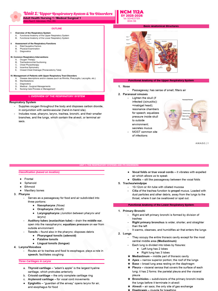 Upper Respiratory System Disorders Guide | PDF | Respiratory Tract | Lung