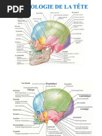 Anatomie et Fractures du Rocher | PDF | Tête et cou chez l'humain ...