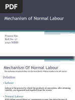 7 Cardinal Movements of Labor Explained | PDF