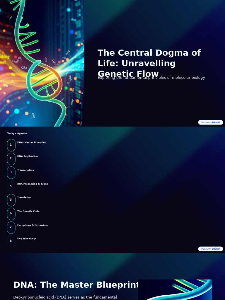 The Central Dogma of Life Unravelling Genetic Flow | PDF | Dna ...