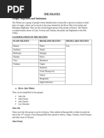 Cushites: Origins and Impact in Kenya | PDF | Kenya | Horn Of Africa