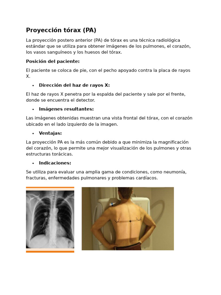 Torax 1 | PDF | Tórax | Especialidades Medicas