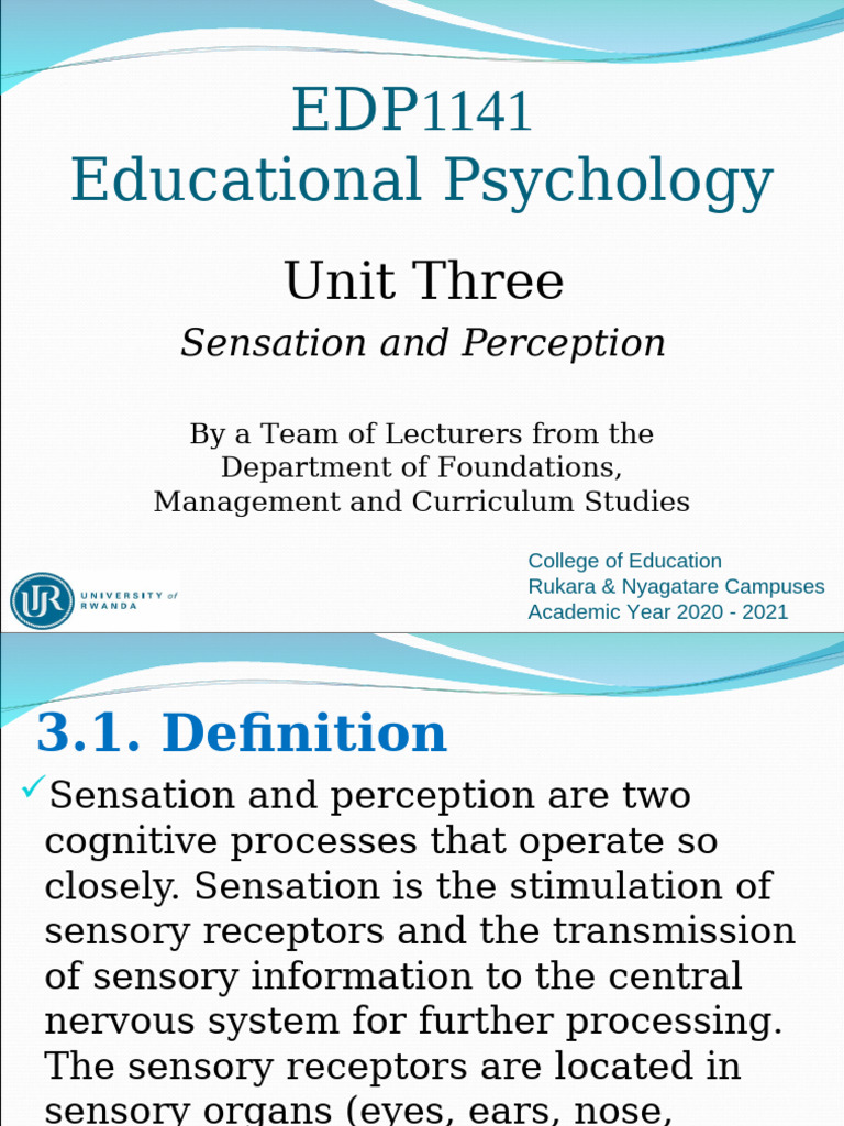 Sensation and Perception in Psychology | PDF | Senses | Perception