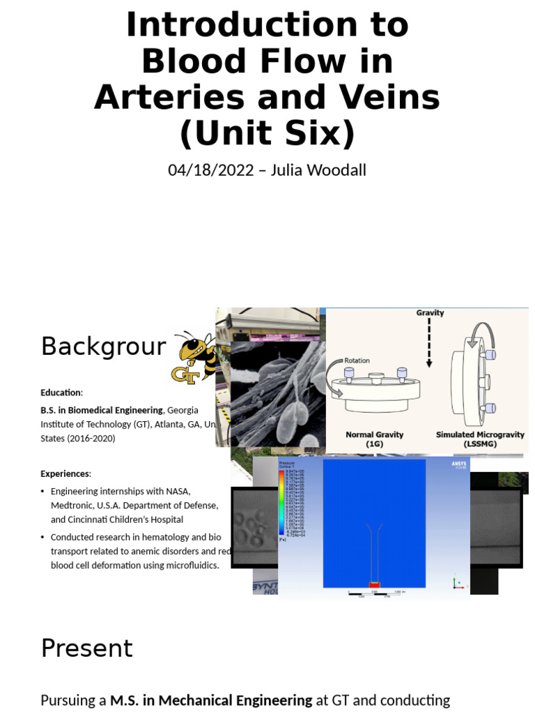 04-19 Introduction to Blood Flow in Arteries and Veins | PDF | Blood ...