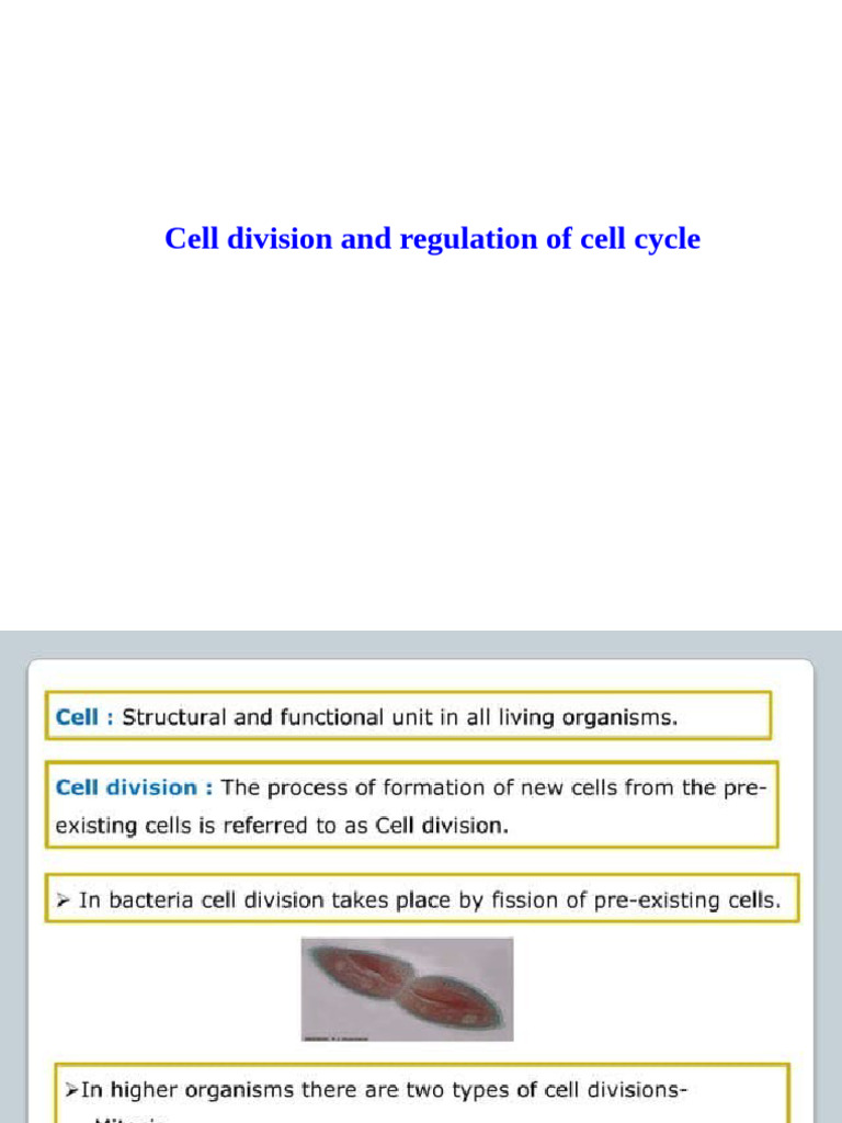 Regulation of Cell Cycle and Cell Division | PDF