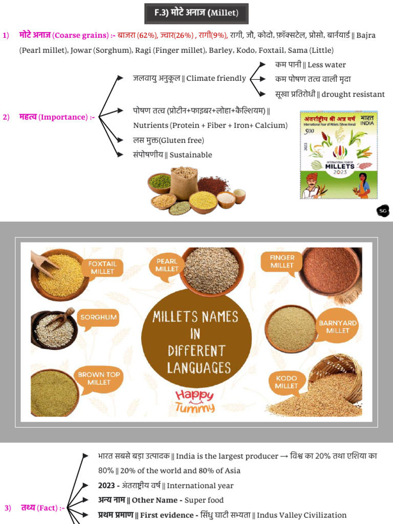 Millets | PDF