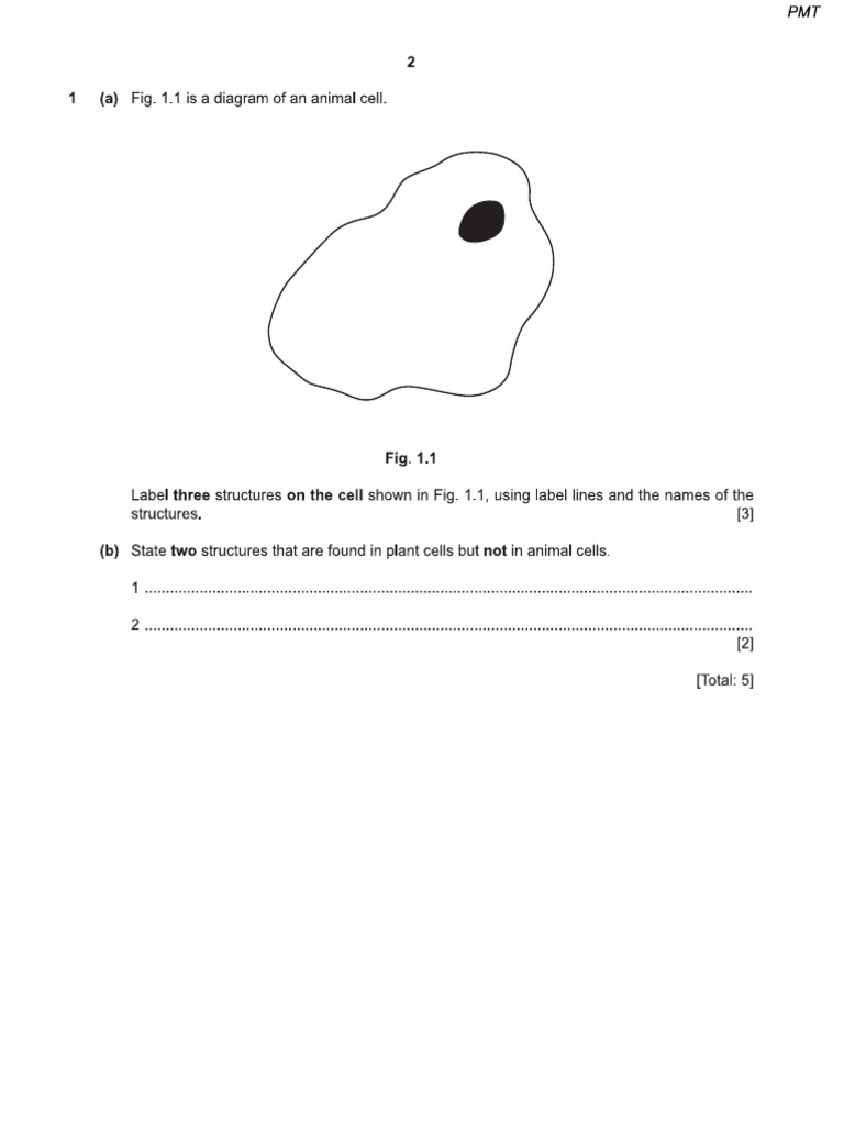 Cell Structure Test 2 QN | PDF