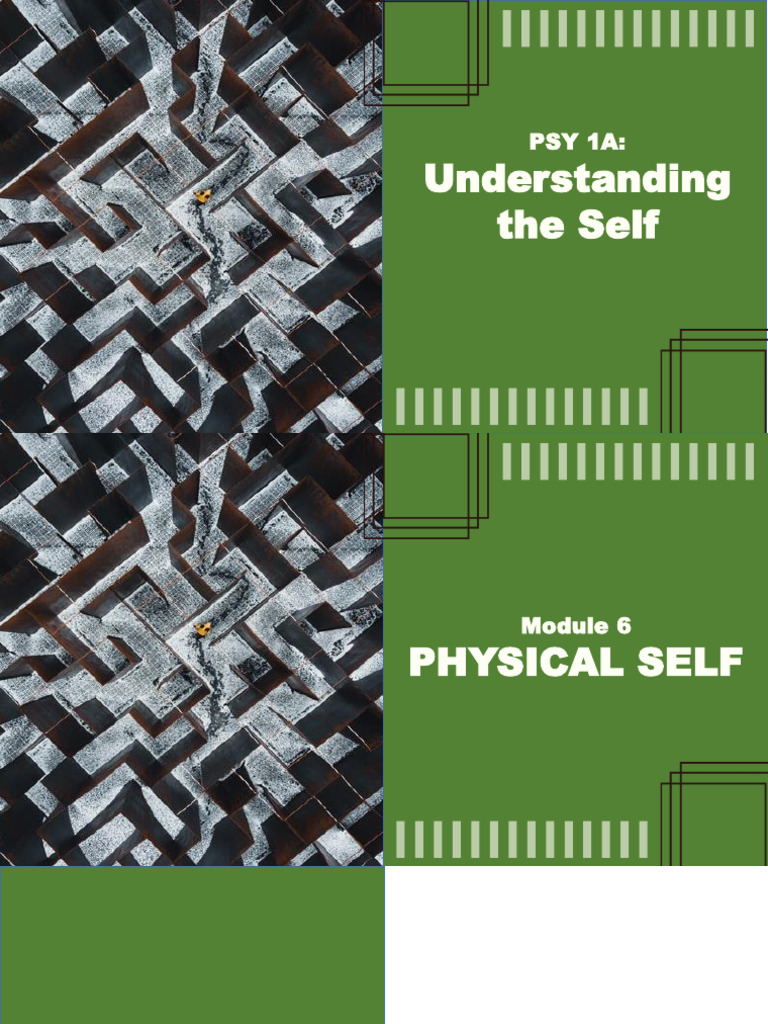 Body Image and Self-Esteem Insights | PDF | Adolescence | Body Image