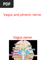 Q Tip Test | PDF | Urinary Incontinence | Urinary System