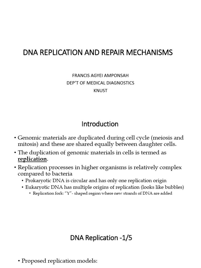 DNA Replication and SOS Repair Mechanisms | PDF | Dna Replication | Dna