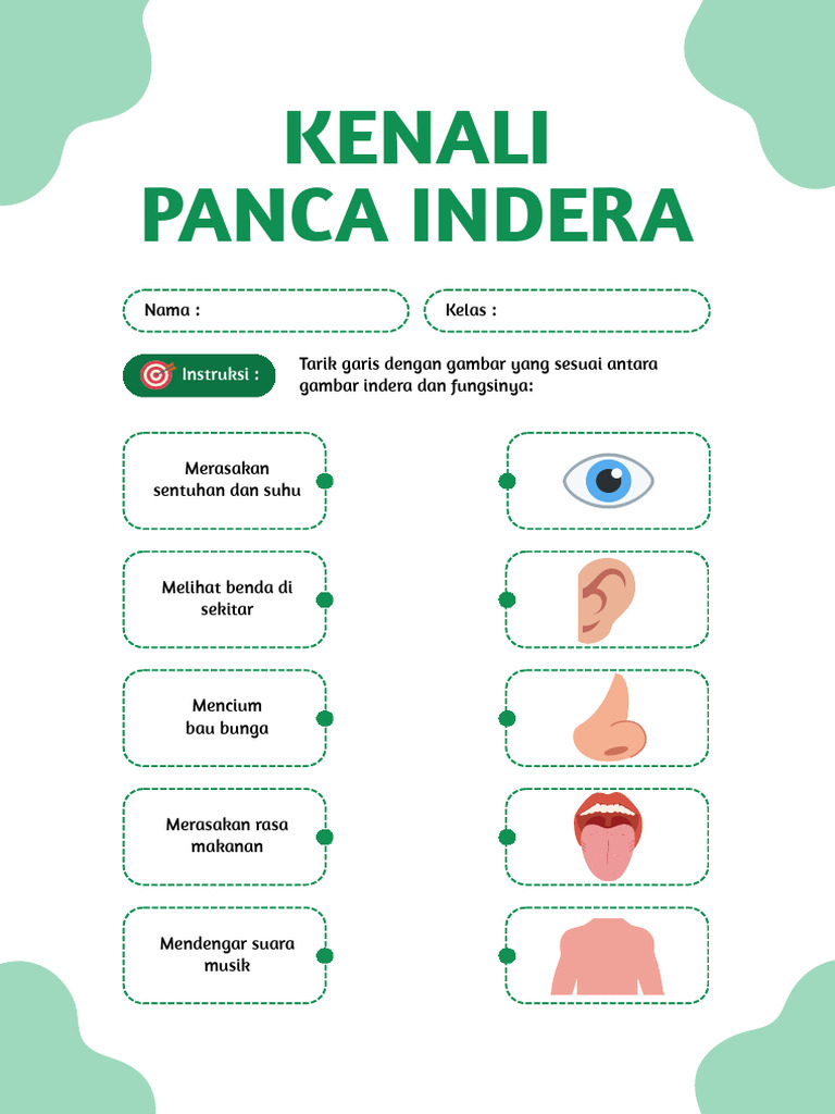 Lembar Kerja Hijau Dan Putih Kenali Panca Indera Ilustratif | PDF