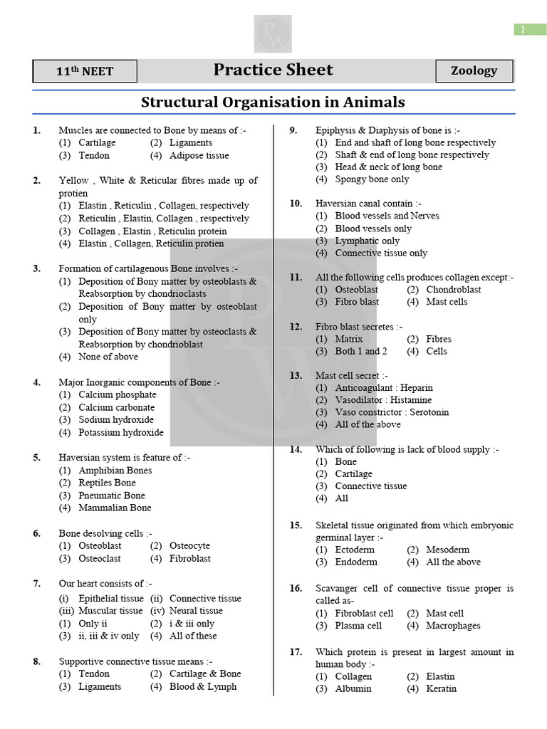 Practice Sheet DPP 11th NEET Zoology Structural Organisation in | PDF ...