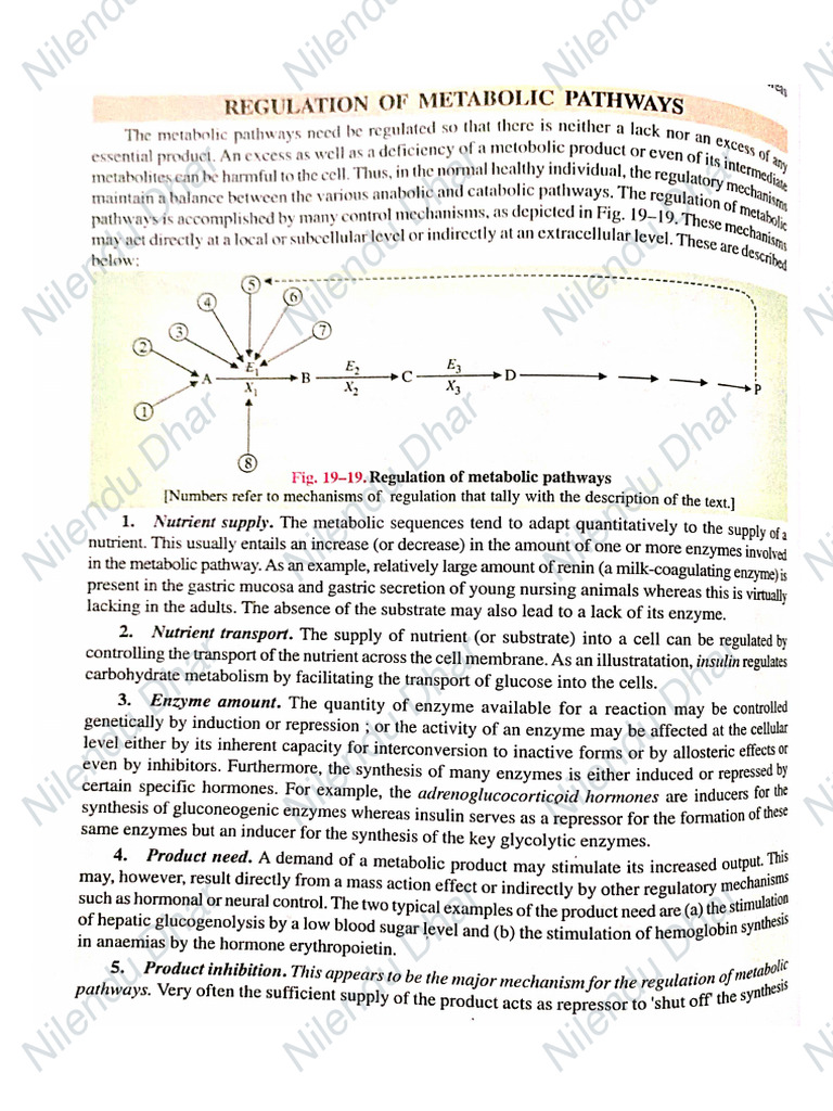 Regulation of Metabolic Pathways With Illustration | PDF