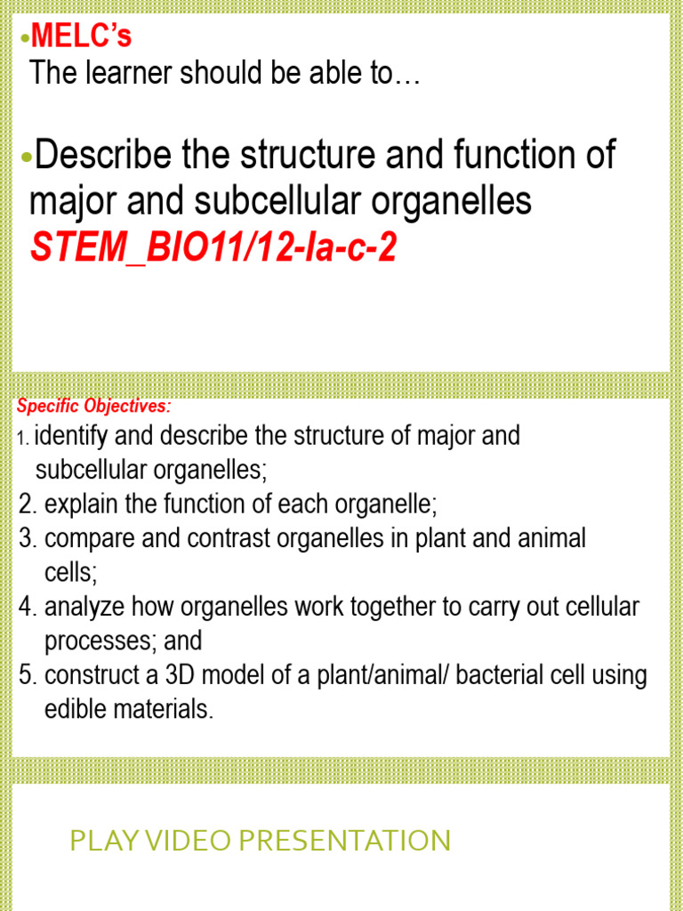 GEN.-BIO-1 - LESSON-2 Cell Organelles | PDF | Cell Membrane | Cell ...