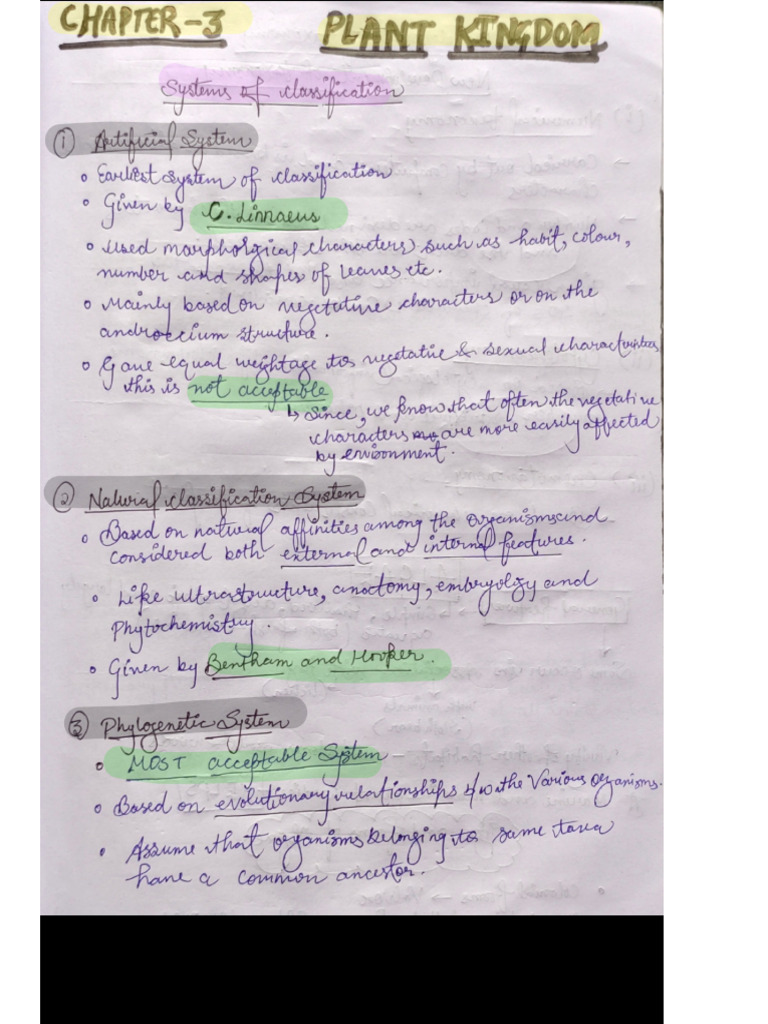Plant Kingdom Notes | PDF