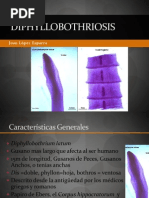 Inserto Esfinto Plus | PDF | Medicina CLINICA | Especialidades Medicas