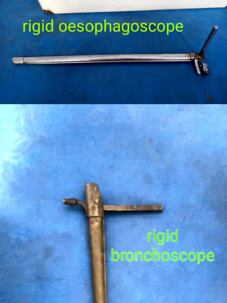 ENT Instruments | PDF