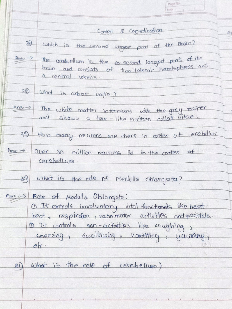 Prapti Ghadi. (Theory+MCQ) | PDF