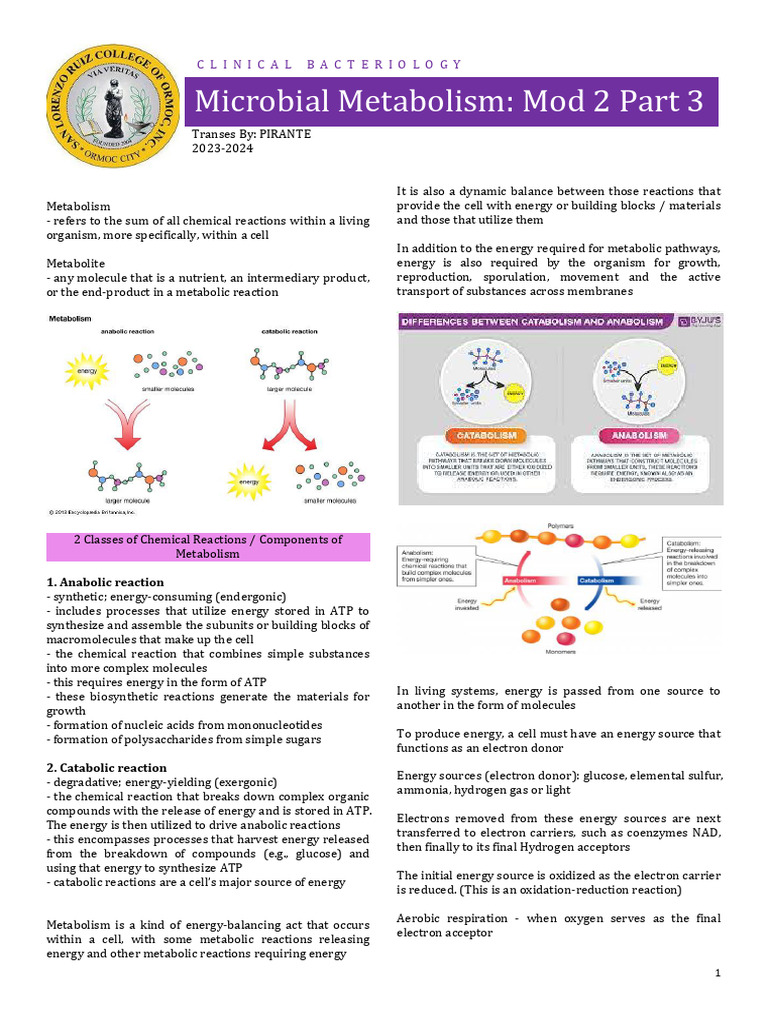 Mod 2 Bacterial Cell Structures Functions and Microbial Metabolism | PDF | Glycolysis | Metabolism
