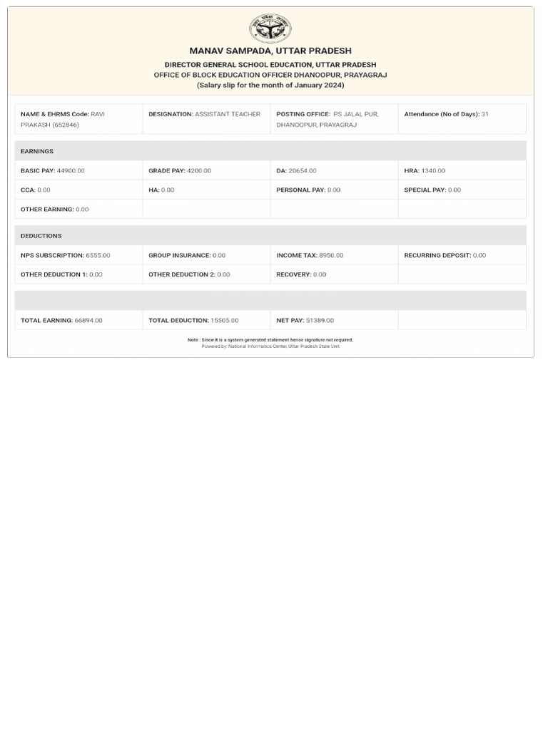 Salary Slip For The Month of January 2024 | PDF