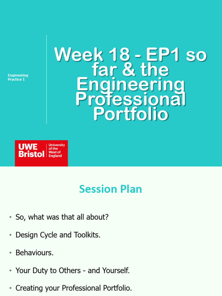 Engineering Professional Portfolio Guide | PDF | Engineering | Design