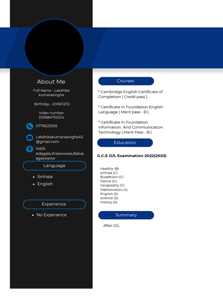 Black Modern Professional Resume 20250811 202105 0000 | PDF