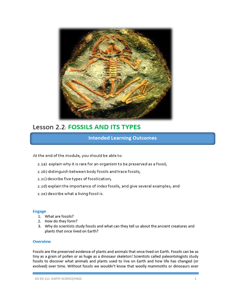 Types of Fossils and Their Formation | PDF | Fossil | Earth Sciences